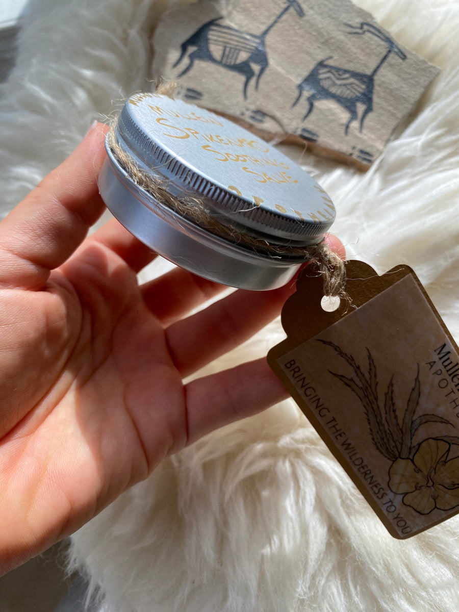 Mullein-Spikenard Soothing Salve 2.0 – Mullein & Moss Apothecary